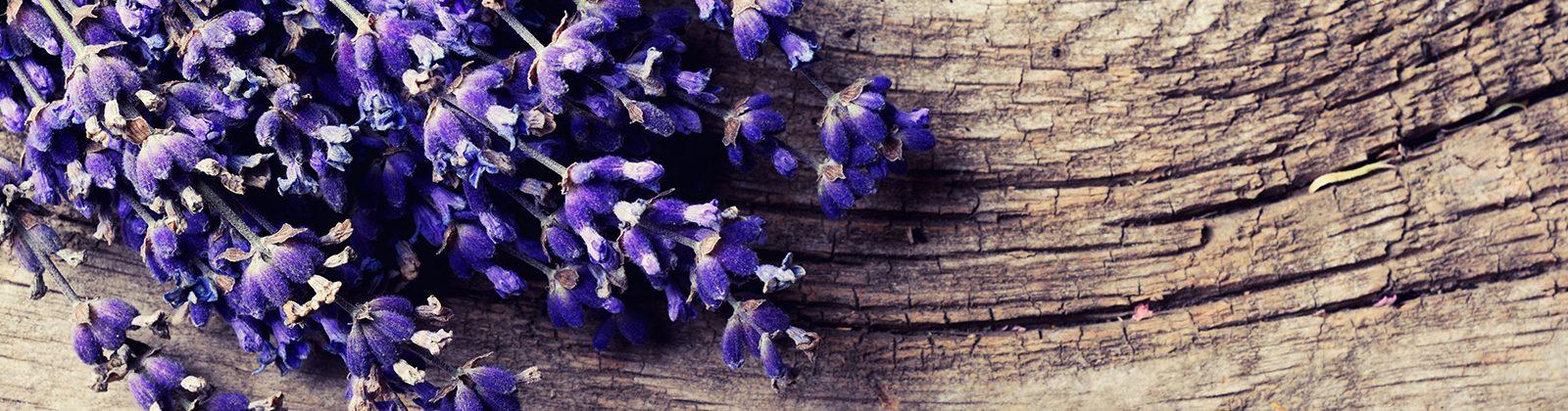 Hotel smell tips: mesmerize the senses of your guests | Minor PRO Blog